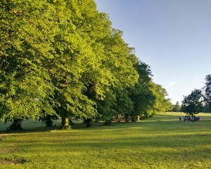 Rothamsted Park – History, Facts, & Information – A1 Taxis Blog